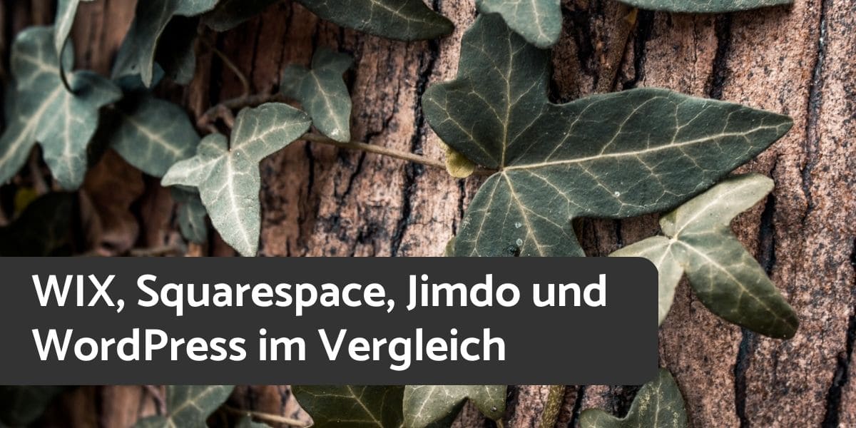 Jimdo, Squarespace, WIX oder WordPress? [Vergleich]
